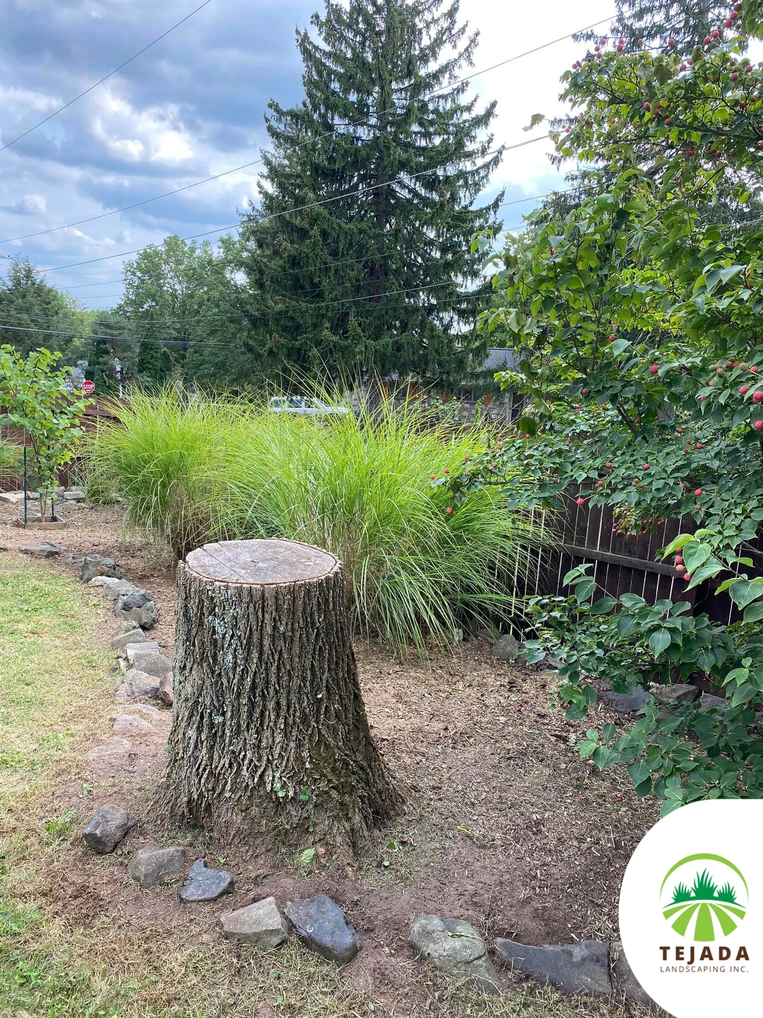 Tejada Landscaping Inc. – Get the yard of your dreams